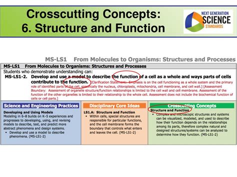 Ppt The Next Generation Science Standards 5 Crosscutting Concepts Powerpoint Presentation