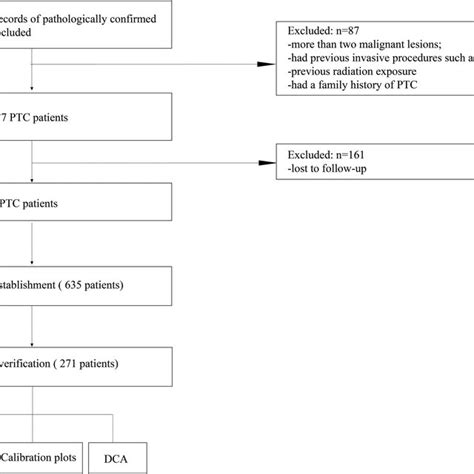 Study Flow Chart DCA Decision Curve Analysis Download Scientific Diagram