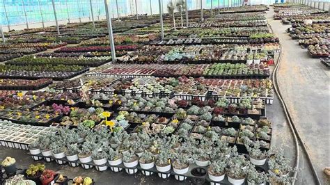 원더풀다육 소개합니다구독좋아요응원부탁드려요 Youtube