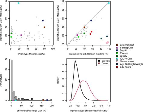 Imputation Accuracy Metrics Across Our Depression Relevant Ukb
