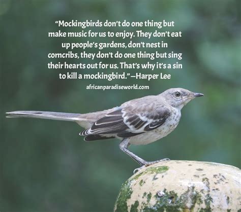 To Kill A Mockingbird Quotes