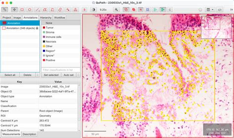 can i use roi from imagej as measurements for running the cell