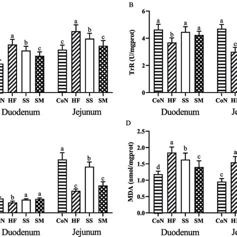 Effects Of Different Selenium Sources On Oxidative Stress Parameters In Download Scientific