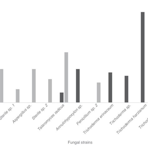 Substrate Utilization Patterns Of Frequently Isolated Fungi From