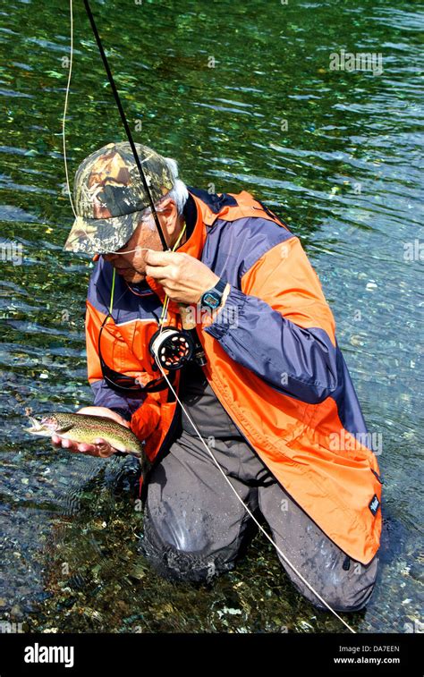 Asian Man Holding Wild Fly Caught Rainbow Trout Before Release Elk
