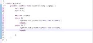 How To Use The Switch Statement For Java Programming Java Swing JSP WonderHowTo