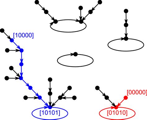 Attractor Landscape The Developmental Dynamics Of The Network That Is
