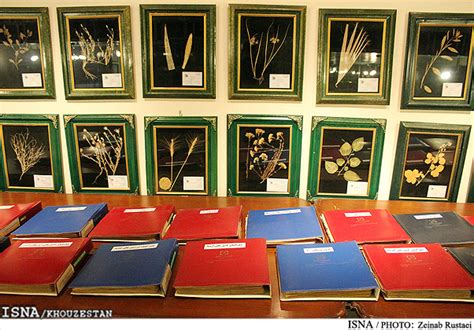 ایسنا موزه علم و طبیعت دانشگاه شهید چمران اهواز