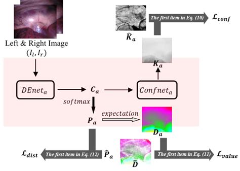 bidirectional semi supervised dual branch cnn for robust 3d
