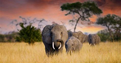 Postgresql Time Series Mastering Datebucket Function Minervadb
