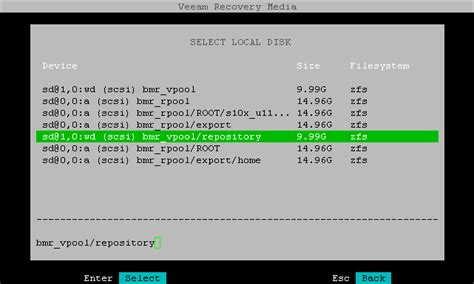 Selecting Local Drive Veeam Agent For Oracle Solaris User Guide