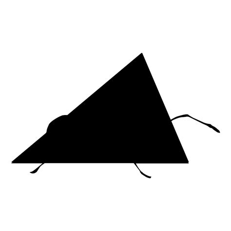 Free High Quality Apache Ant Icon For Creative Design