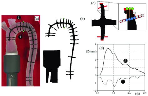 Figure A1 Determination Of The Edge Displacement A Acquisition Of Download Scientific