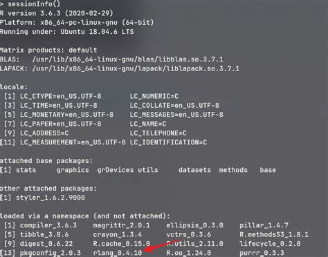 Weird Unicode Involved Output · Issue 897 · R Libstyler · Github