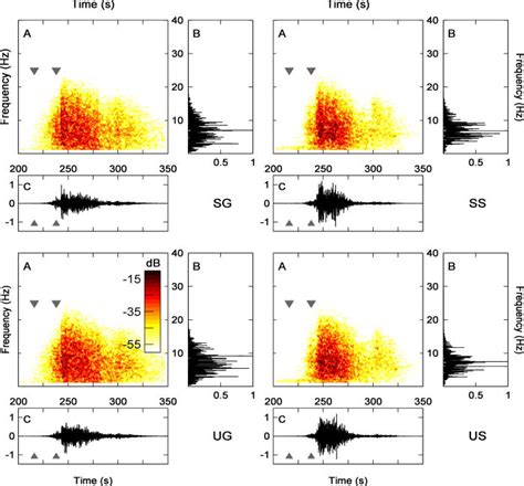 T Wave Generation And Propagation A Comparison Between Data And Spectral Element Modelinga