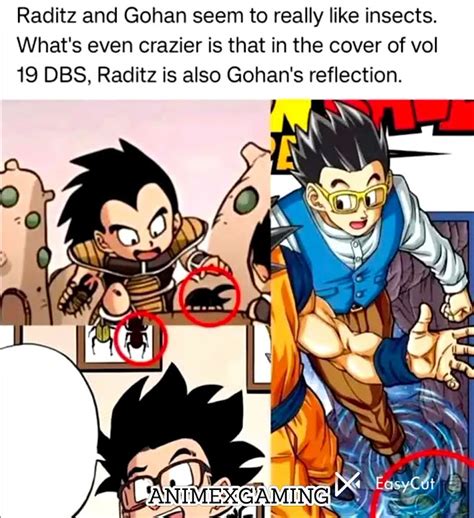 Gohan Meme Dragon Ball Meme Gohan Memes Dragonballmemes Anime