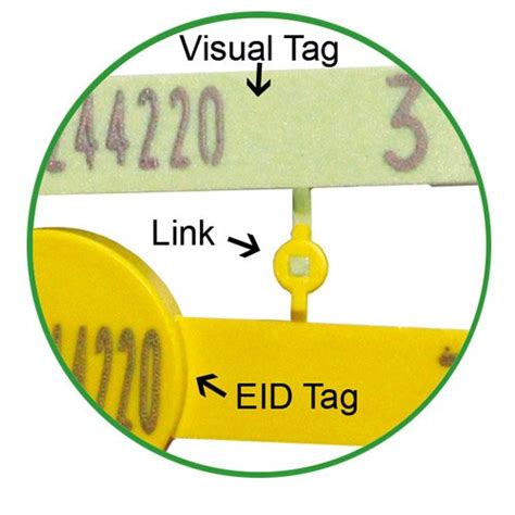 Sheep Breeding Tags EID Visual Loop Tags Dual Tag