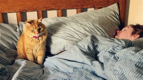 [video] Cyber News Group On Linkedin Thefutureofcybersecurity Cybersecurity London