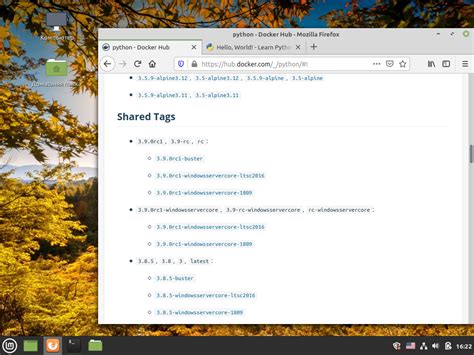 Установка Python в Linux Mint Losst