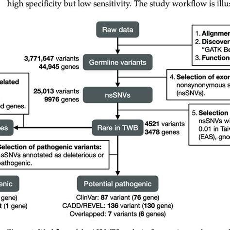 Workflow Of The Ais Wes Analysis Sequencing Reads Were Aligned To The