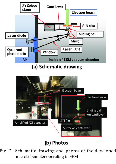 Concept Of The In Situ Sem Observation Of Friction Interfaces Download Scientific Diagram