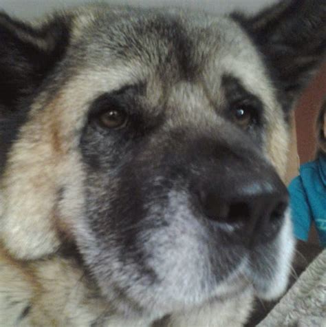 Jennifer Proffitt Address Phone Number Public Records Radaris