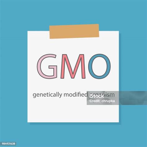 Gmo 유전자 수정 생물 노트북 종이에 작성 된 0명에 대한 스톡 벡터 아트 및 기타 이미지 0명 Dna 건강관리와 의술 Istock