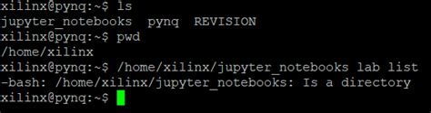 computer can not see ethernet connection with board pynq z2 support