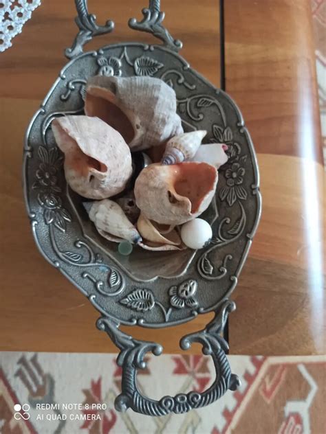 Bakır şekerlik Deniz Kabuğu Sıfırından Uygun Fiyata Al