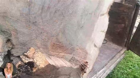 120yr Old Oak Tree Table Making Eporner