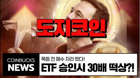 도지코인 폭등 전 매수자리 떴다 Etf 승인 이후 3000 폭등 Youtube