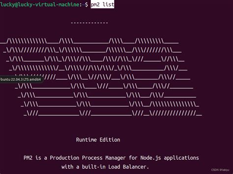 Ubuntu 2204安装nodejs和pm2ubuntu安装pm2 Csdn博客