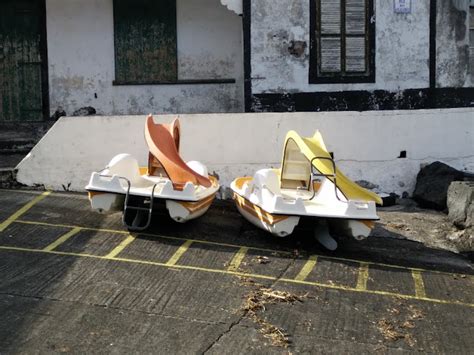 PORTO DA CALHETA Gaivotas A Pedais