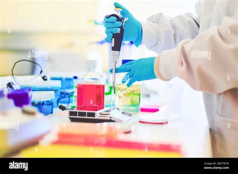 Labratory Scientist Extracting Dna And Biological Material For Testing