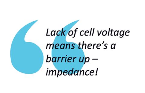 Electro Equiscope All About Cellular Function Impedance And Equiscope Therapy