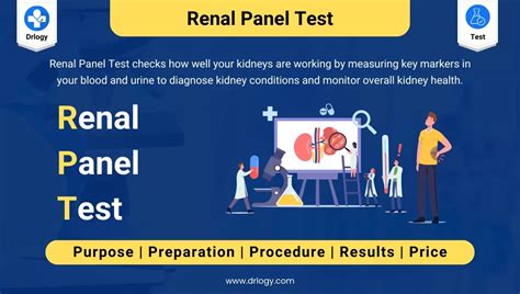 What Is The Significance Of Glucose Levels In The Renal Panel Test