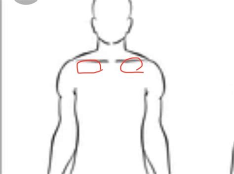 신체 부위 명칭 가슴 위에 지식in