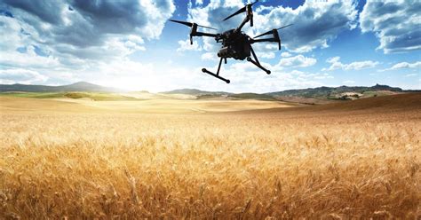 Smarter Wheat Monitoring With Artificial Intelligence Dug Technology