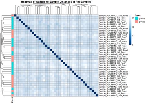 R Pheatmap Annotation Row Stack Overflow