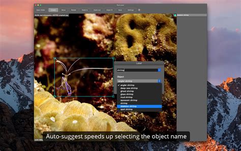 About Bounding Box Localization Part 1 2017 Deep Learning Course