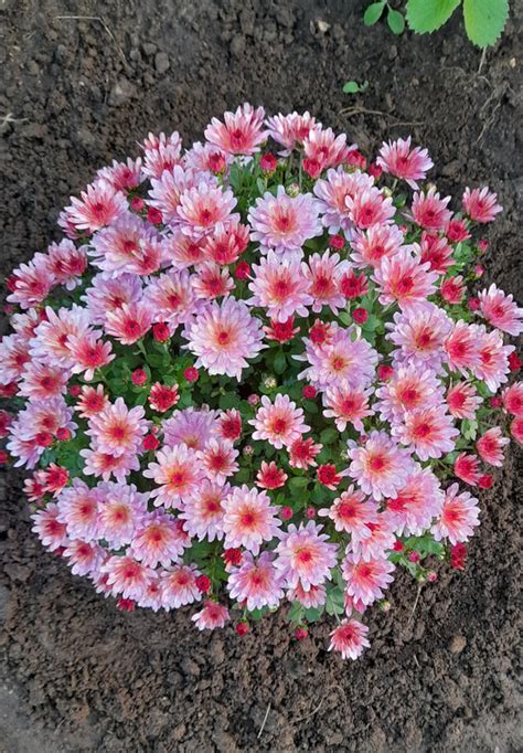 20231005 173655 — Postimages