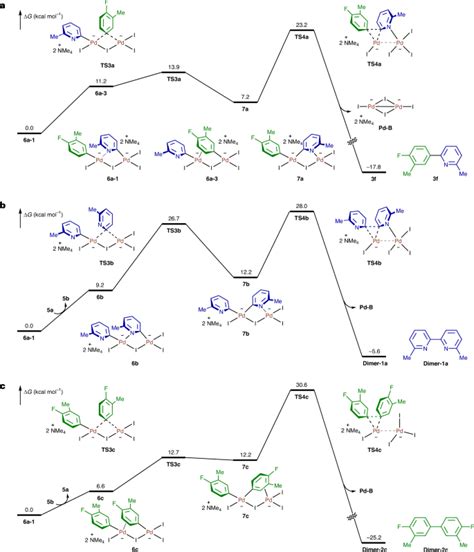 重磅！nature Chemistry：新型氢转移催化体系！ 华算科技