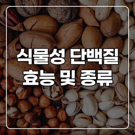 식물성 단백질 종류 많은 음식 추천 푸박