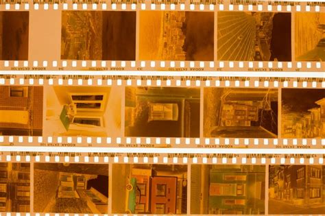 Carbon Offset Slogan Ideas Boon Best Logo Maker For Your Needs