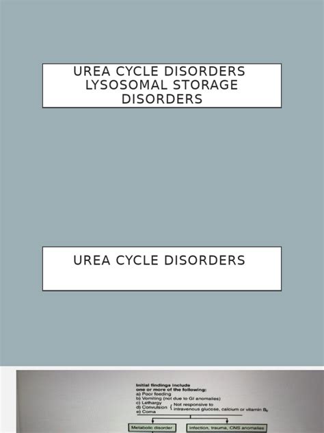 Urea Cycle Disorders Pdf