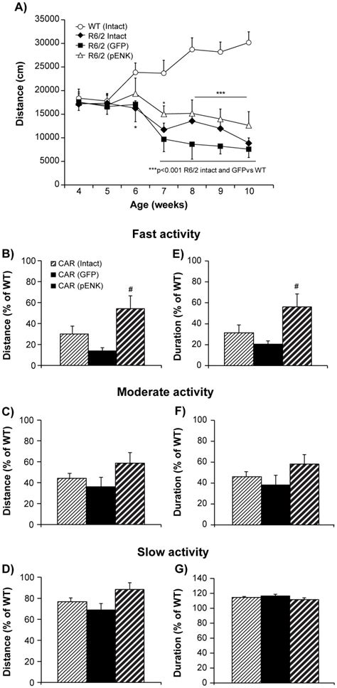 The Total Distance Traveled By Mice In Open Field During 2 2 Mice Download Scientific Diagram
