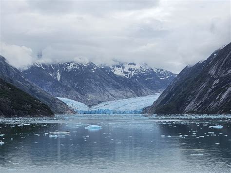 Wow Endicott Arm Ruby Princess Synergy 👍 Nature At Its Best 🏆 Charles Verwaal