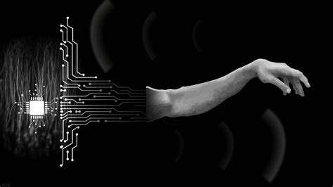 The Forward Model Biomedical Engineering Purdue University