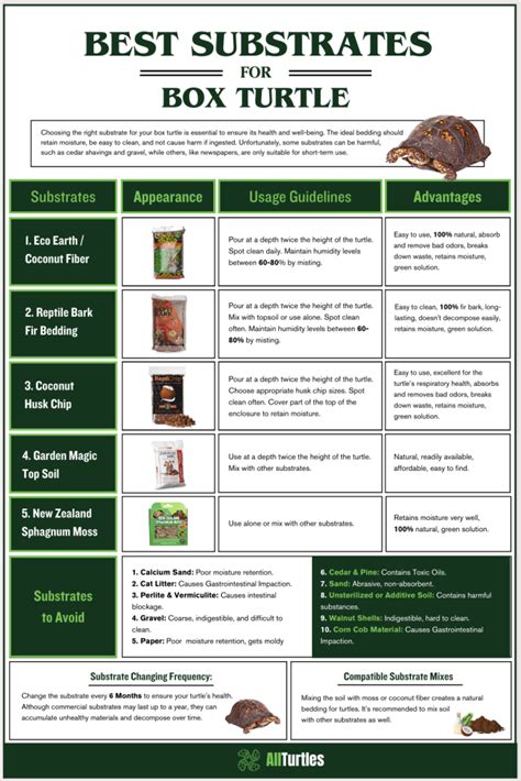 Top 5 Best Substrates For Box Turtles All Turtles