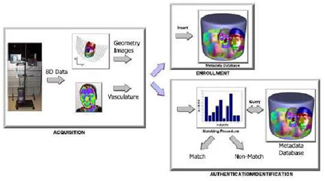 Multimodal Face Recognition System Download Scientific Diagram